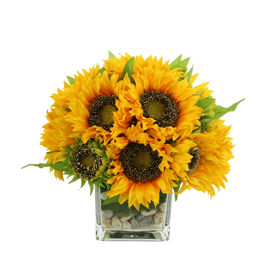 Sunflower Arrangement in a Square Glass Vase with Stones and Moss ...