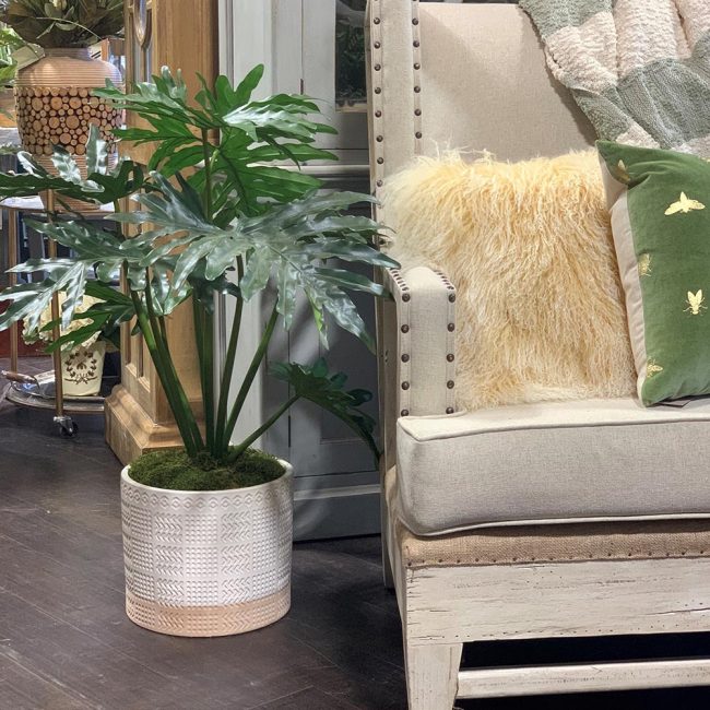 Greenery – Creative Displays and Designs inc