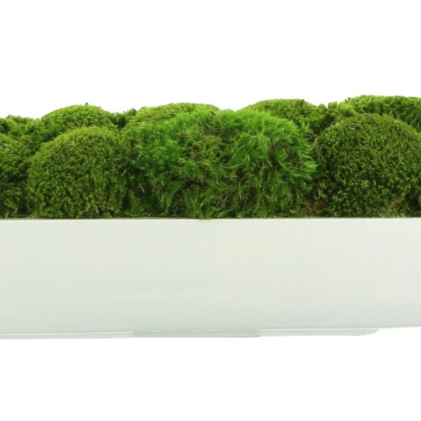 Greenery – Creative Displays and Designs inc