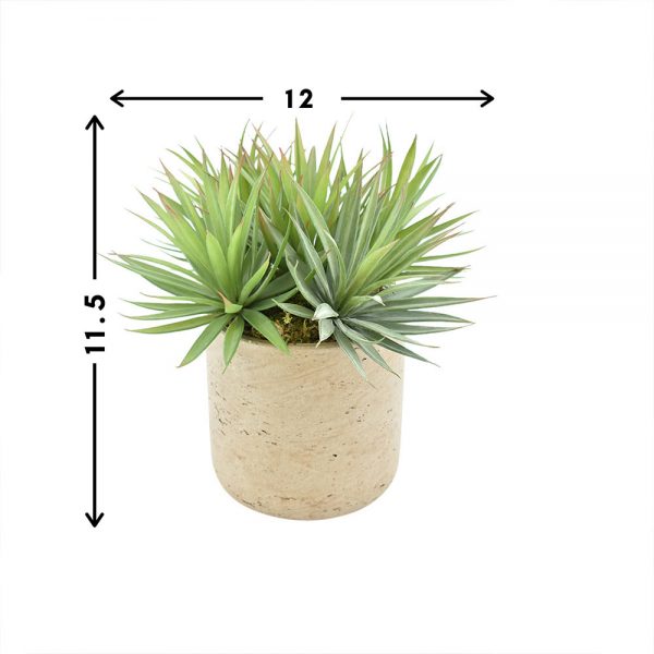 Yucca Arrangement in Round Pot – Creative Displays and Designs inc