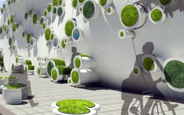 Custom Jobs – Creative Displays and Designs inc